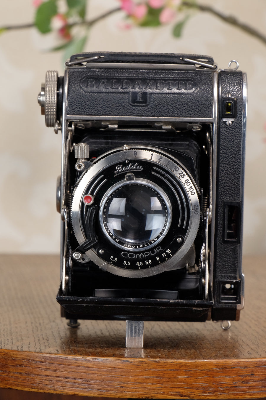 Rare! 1936 Balda Baldaxette, 6x4.5 Coupled Rangefinder camera, Freshly ...