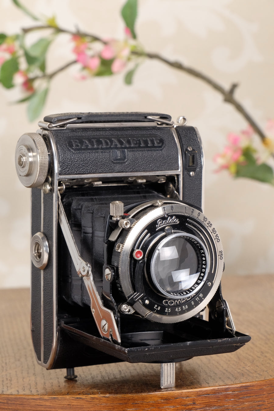 Rare! 1936 Balda Baldaxette, 6x4.5 Coupled Rangefinder camera, Freshly ...